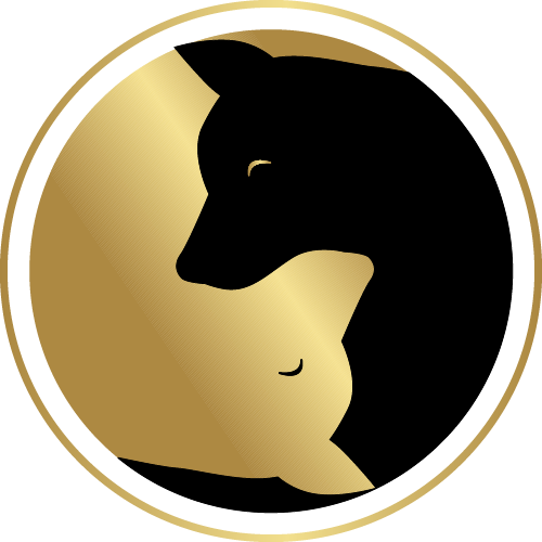 Dog Behaviorists - Julie Forbes & Darcie Boltz - Sensitive Dog ...